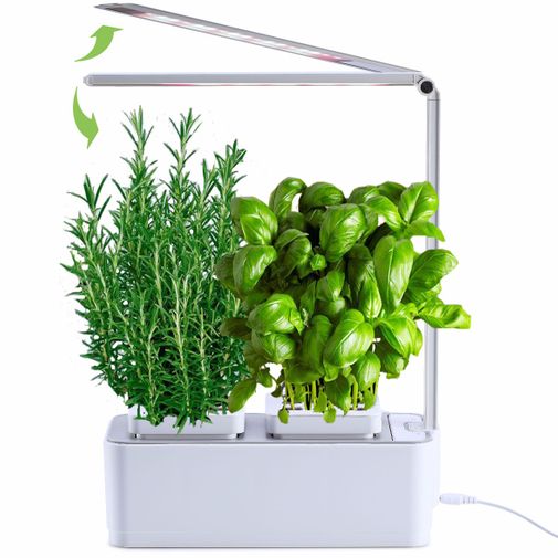 Умный сад для выращивания растений iGarden LED купить по цене 6 490 руб ...
